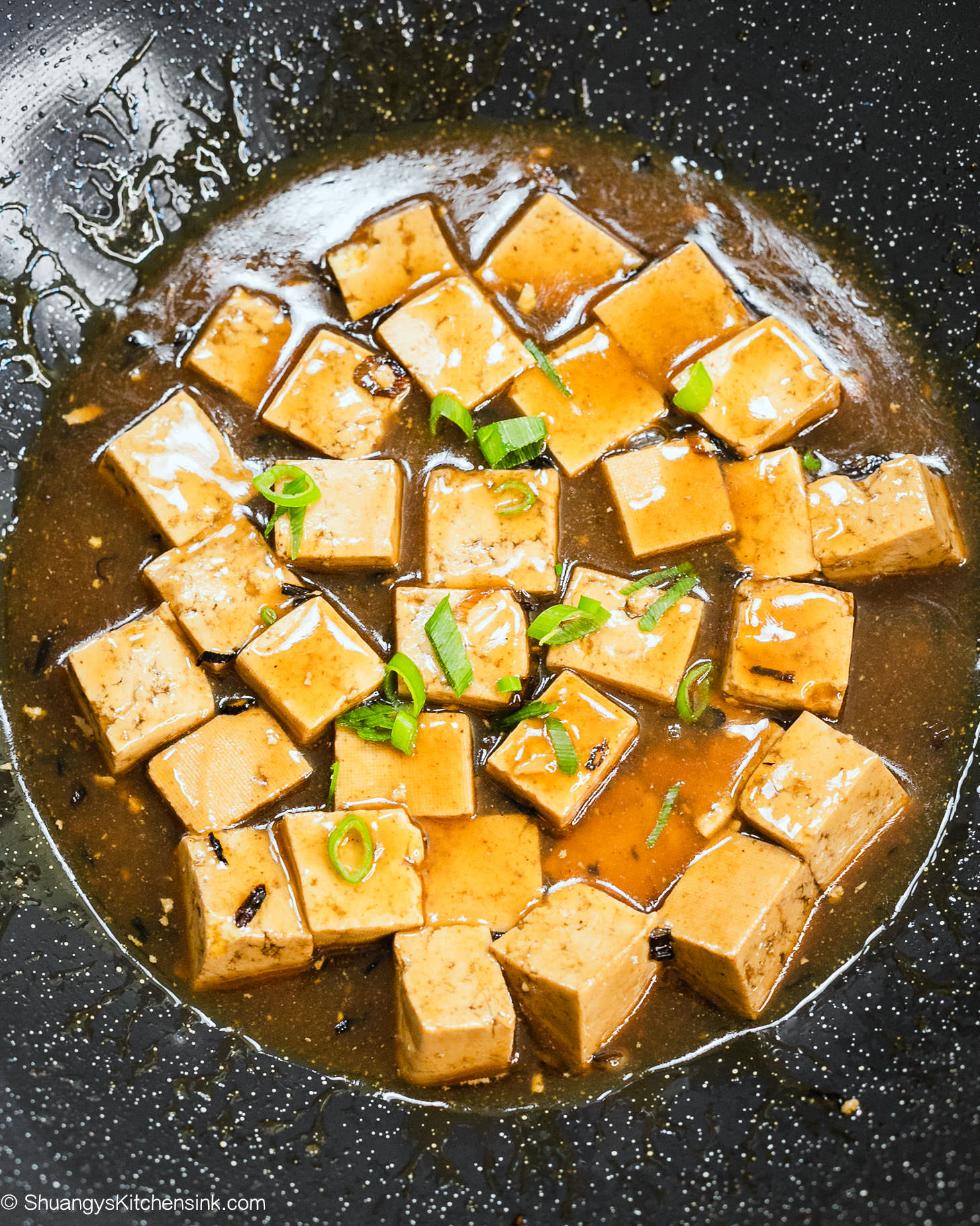 Authentic Chinese Sticky Tofu {15 Minutes} | Shuangy's Kitchensink