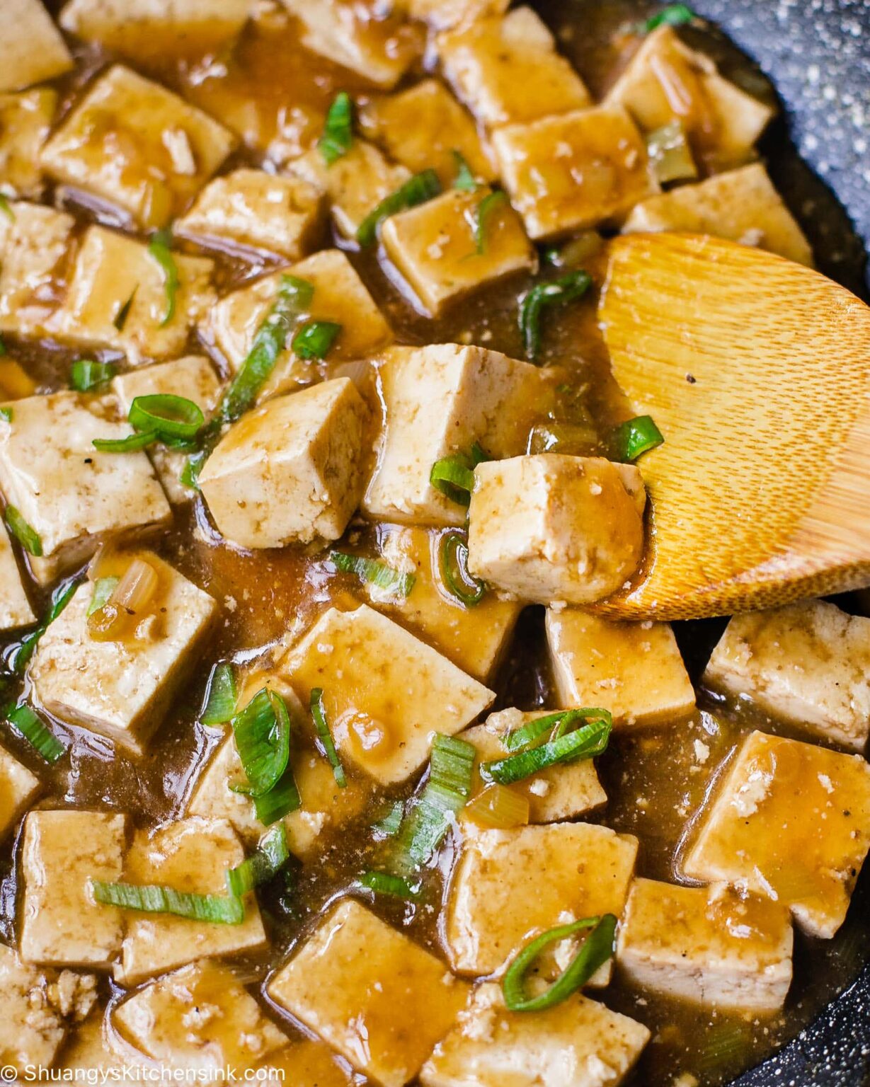 Authentic Chinese Sticky Tofu {15 Minutes} | Shuangy's Kitchensink