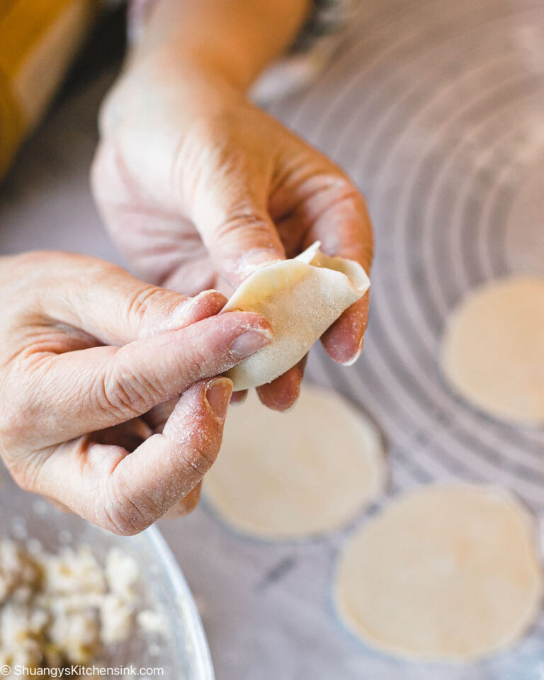 How to Make Chinese Dumplings {Step by Step}|Shuangy's Kitchensink