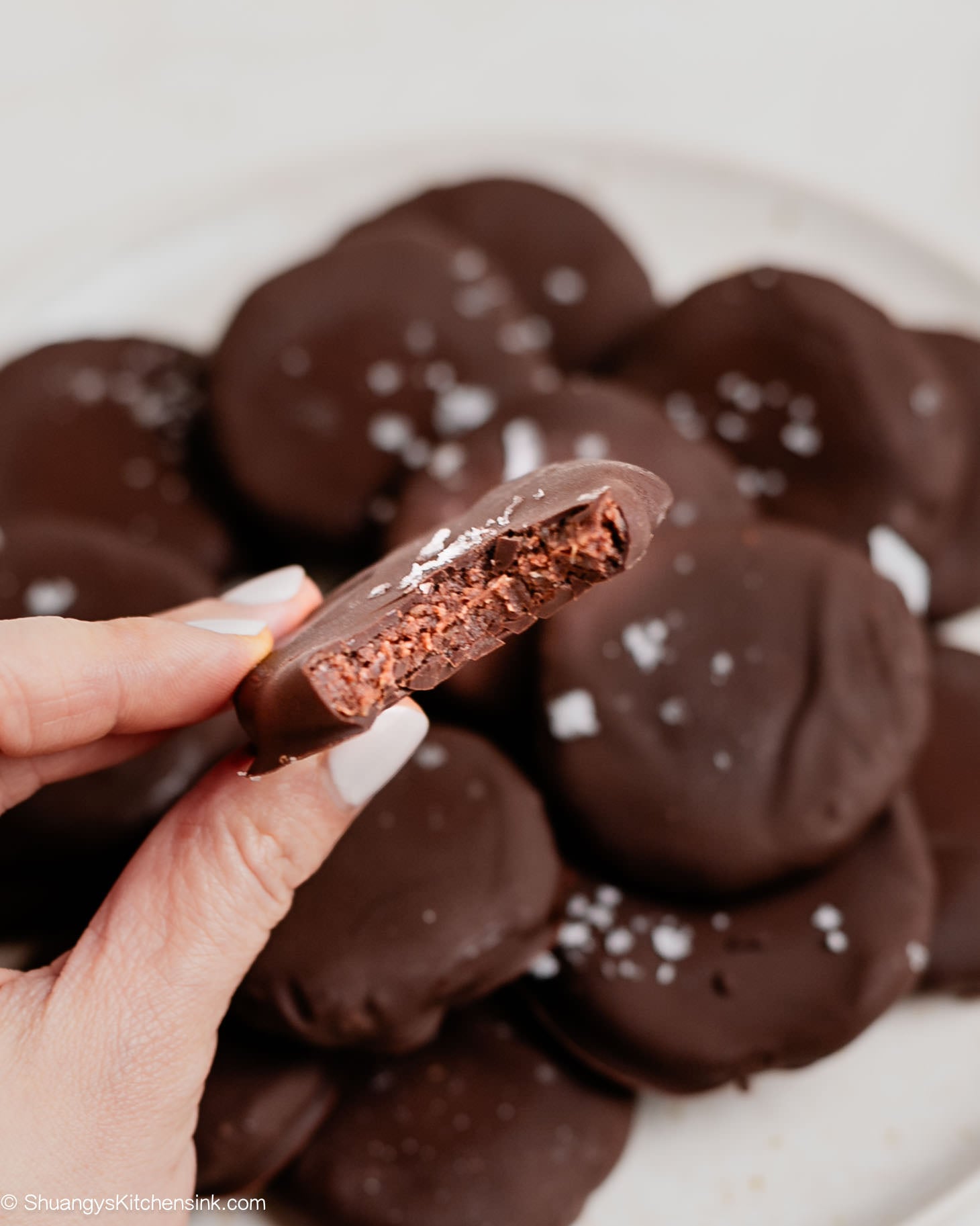 No Bake Thin Mint Cookies {6 Ingredients} - Shuangy's Kitchensink
