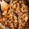 Sesame Ginger Chicken {20 Minutes} | Shuangy's Kitchenink
