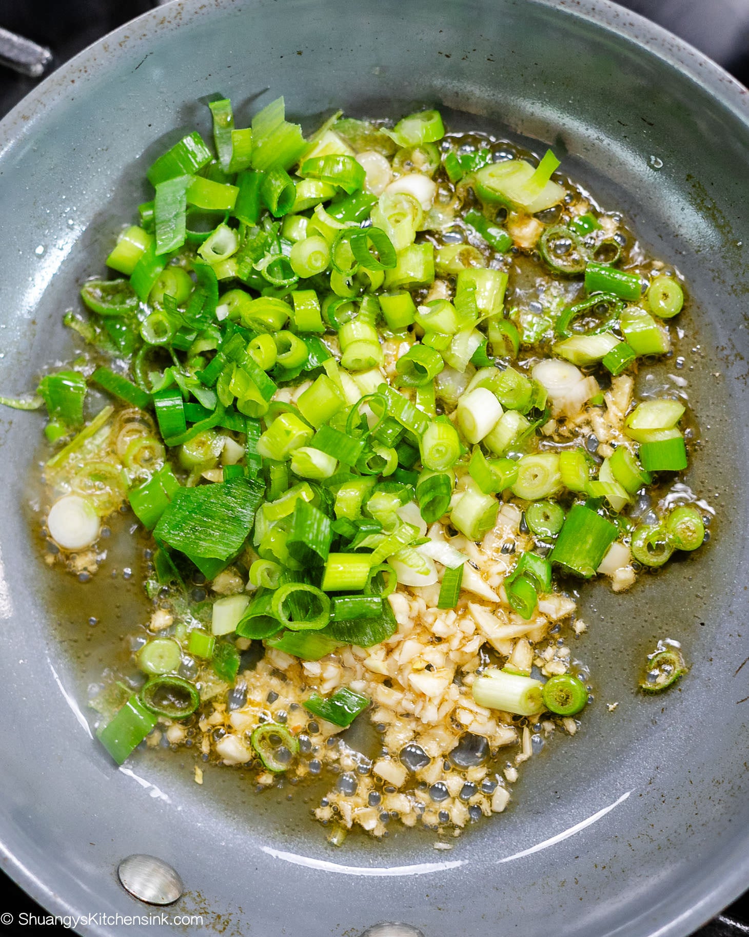 Asian Burger {with Ground Pork & Chicken} Shuangy's Kitchensink